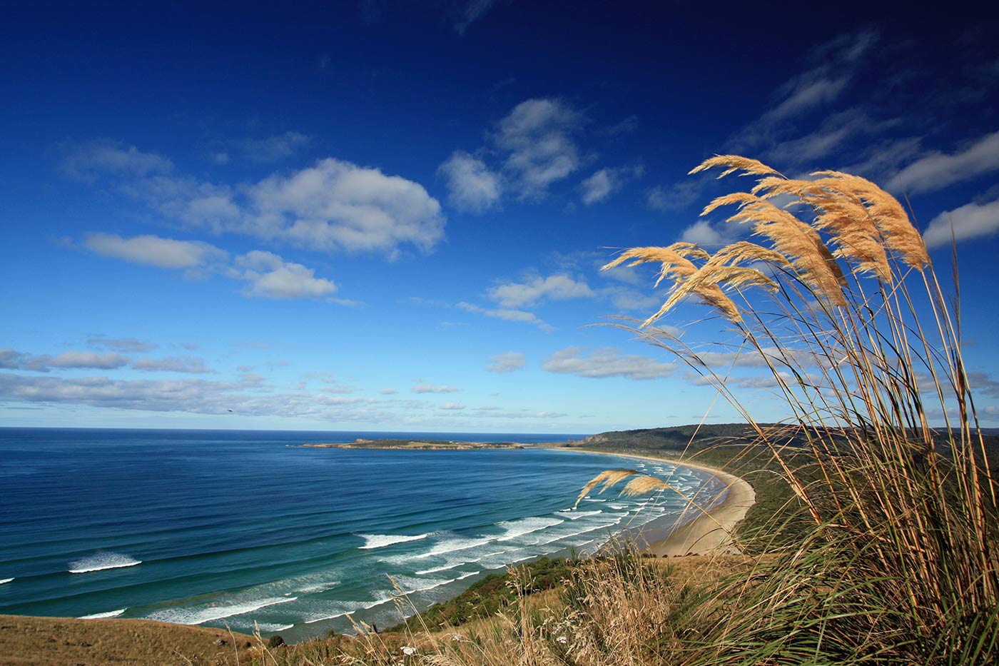 The Catlins – Southern Scenic Route